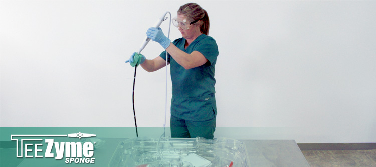 TEEZyme Sponge - CS Medical